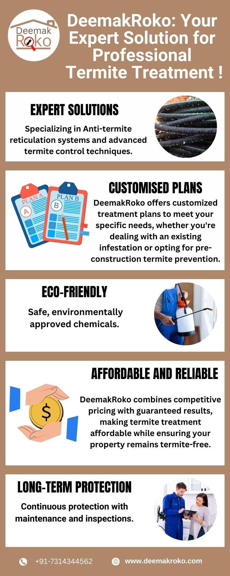 Professional Termite Treatment | DeemakRoko Experts