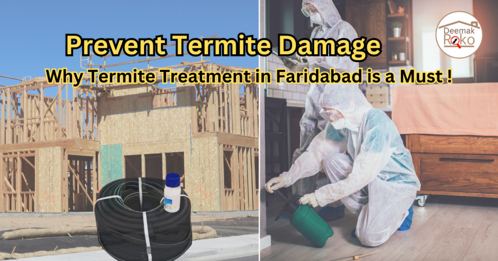 Termite Treatment in Faridabad: How to Prevent Termite Damage - DeemakRoko