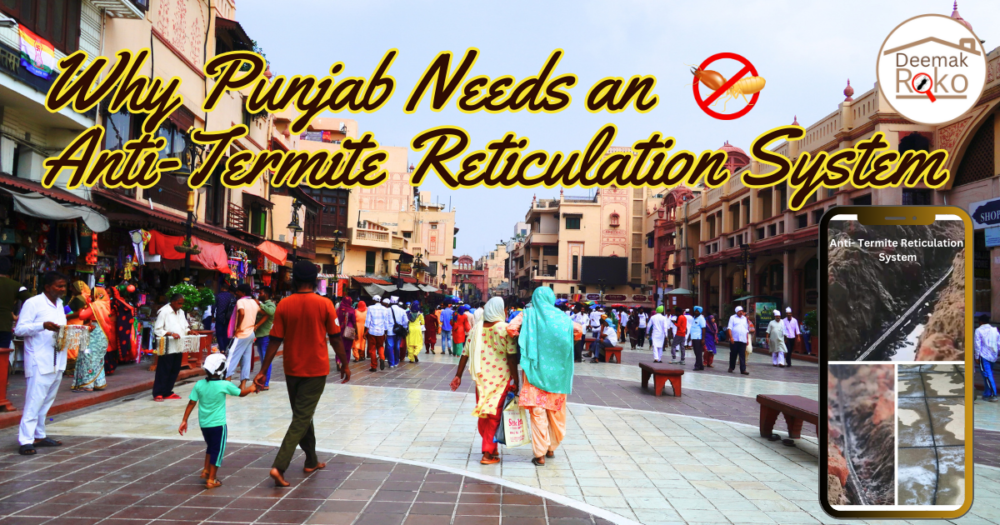 Why Punjab Needs an Anti-Termite Reticulation System - DeemakRoko