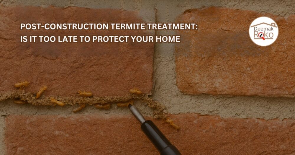 Post-Construction Termite Treatment: Is It Too Late to Protect?